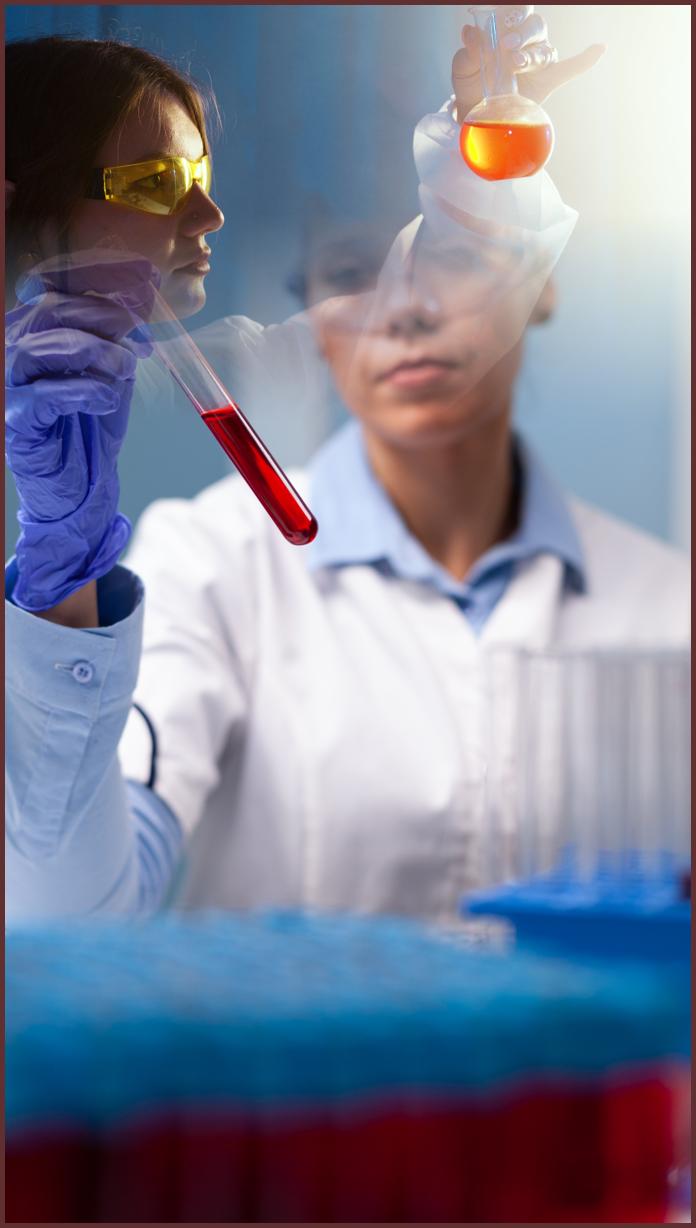 Borntobebound.com Revue - Pharmacie En Ligne Qui Ne Est Plus Actif ...